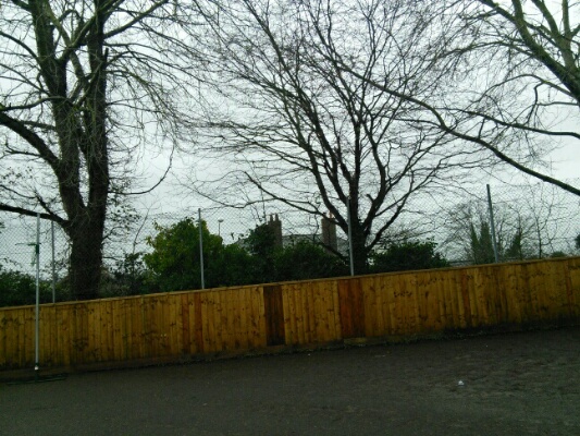 We're going on a chimney hunt!